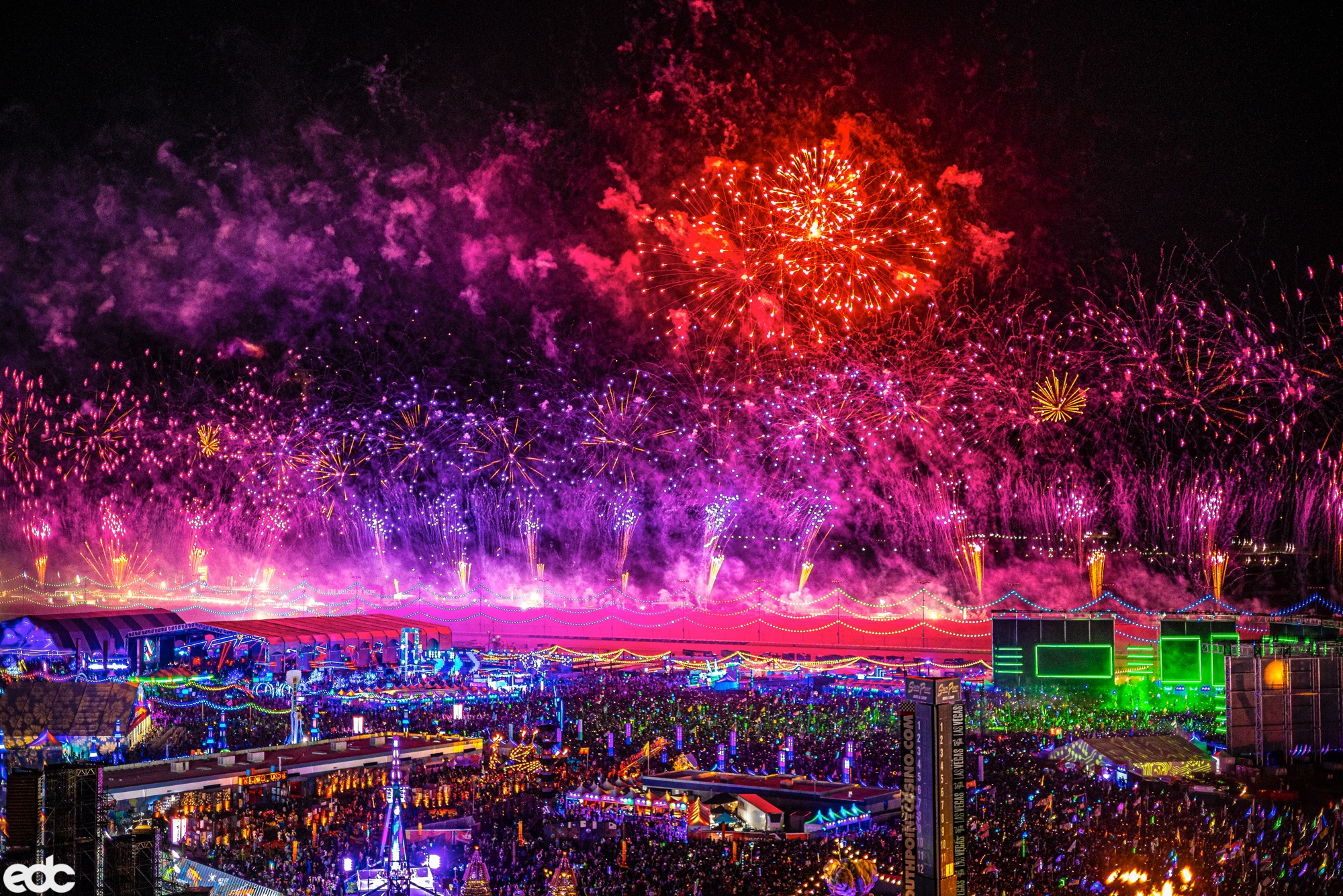 EDC Las Vegas - Backbone International