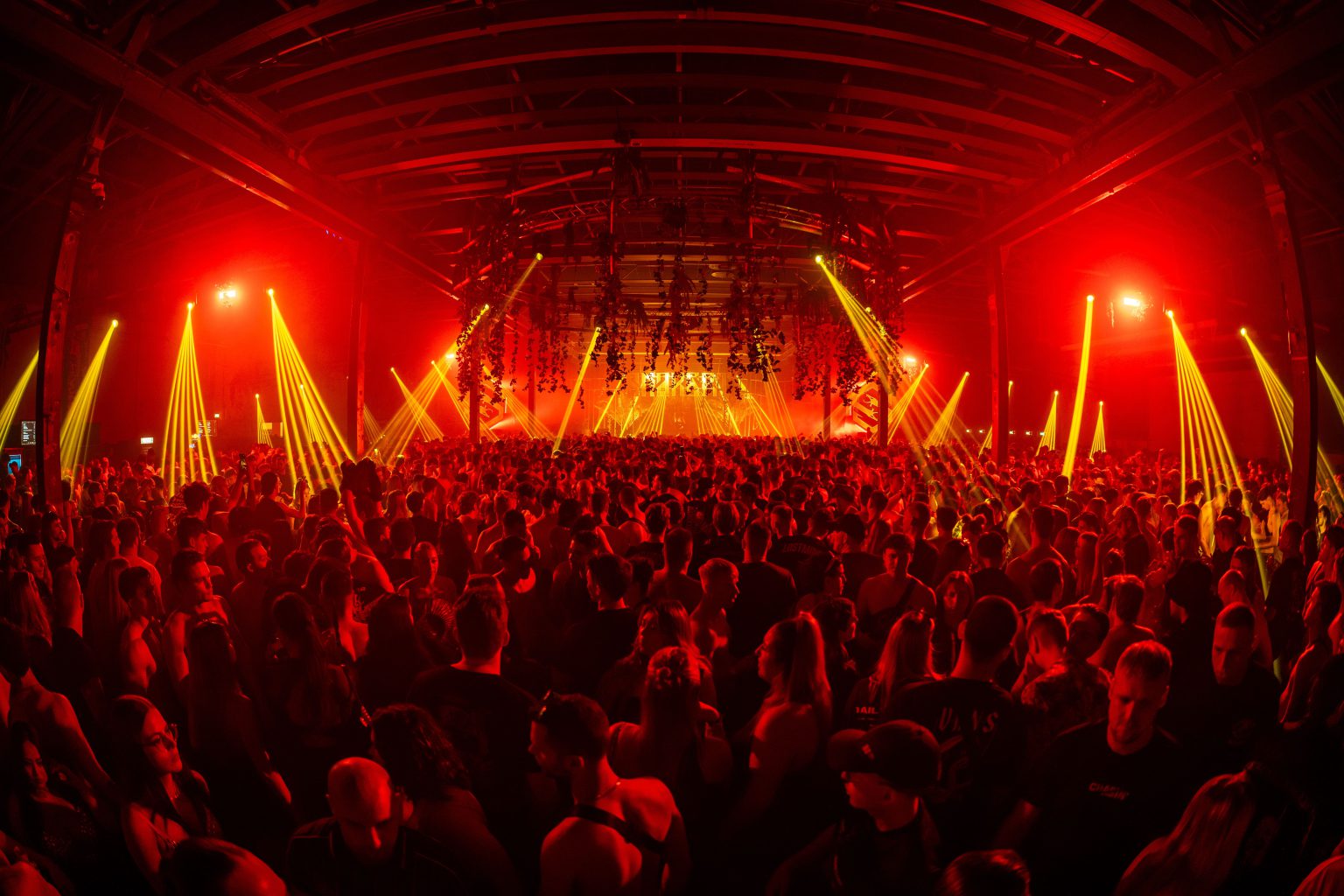 Snakepit - Backbone International